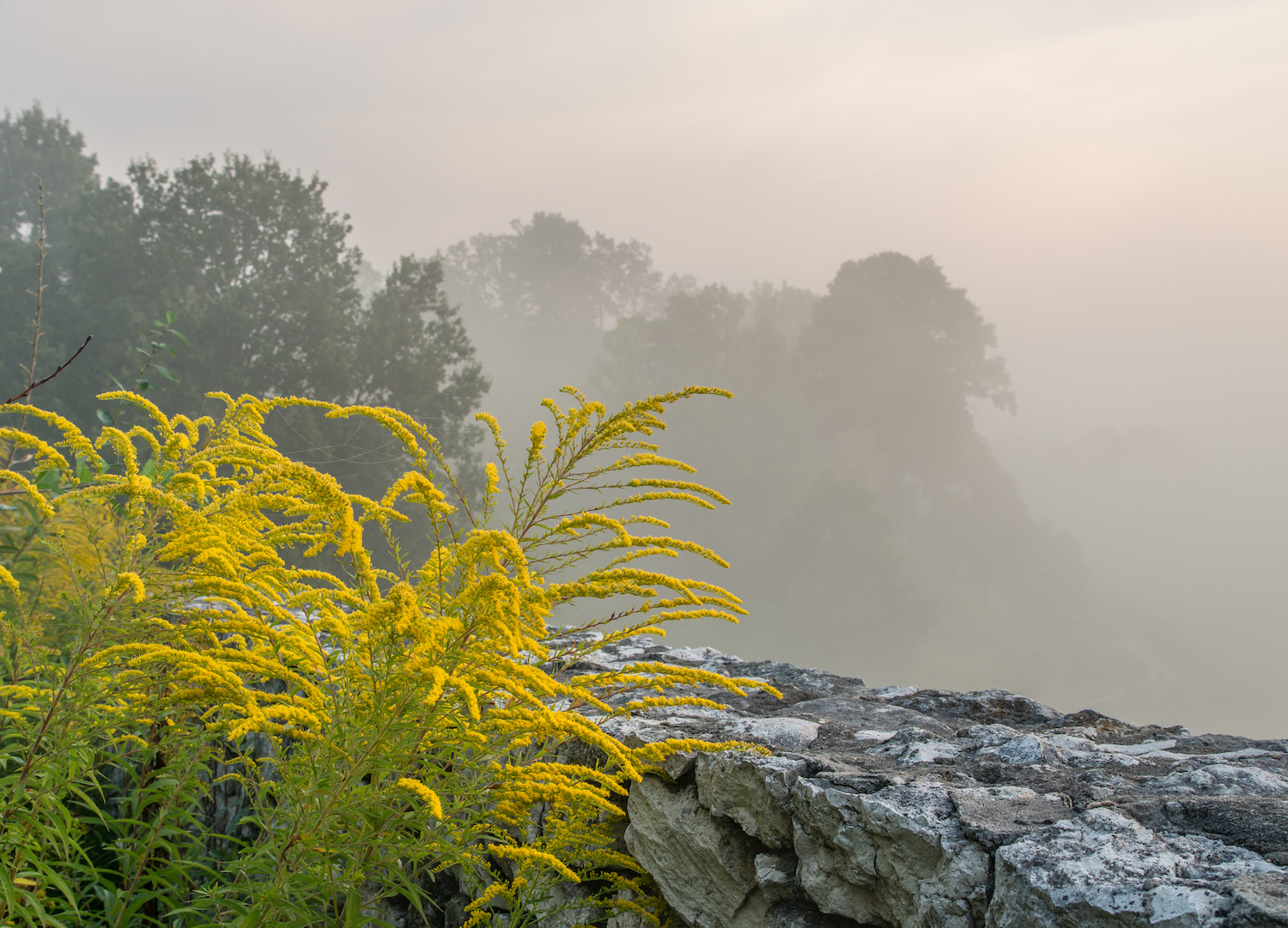 George Adam Geeting • Geeting House
